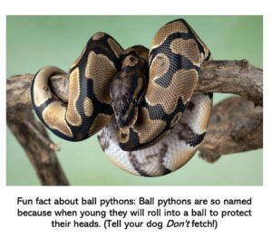 Kam's Place | Reviewer/Promoter/Proofreader – Your basic bookworm.